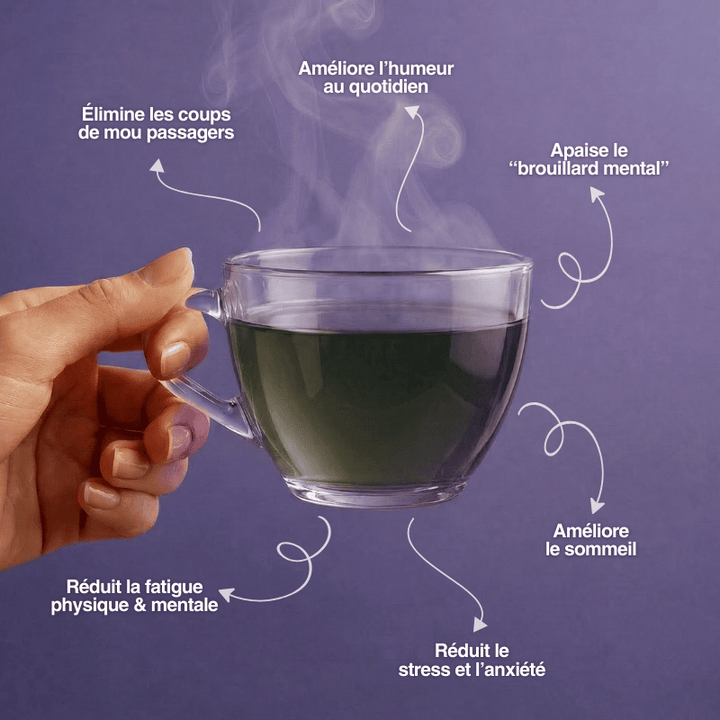 Bon appétit - Infusion digestion – Sentea